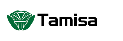 Tamisa - Variety Cabbage | Syngenta