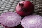 Africa Red - Variety Onions | Syngenta